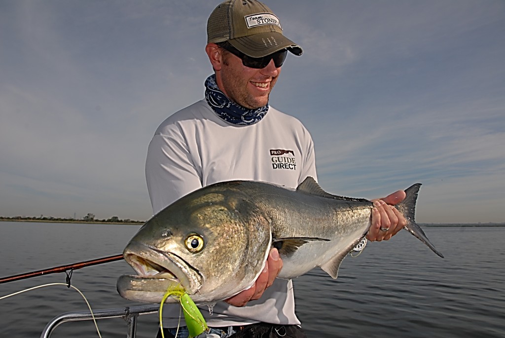 Bluefish popper - Marine Fish Conservation Network