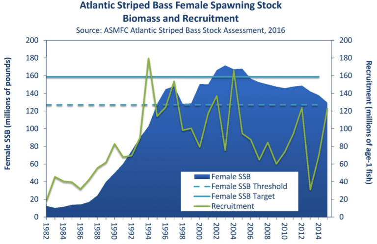 Striped Bass Spawning Chart - Marine Fish Conservation Network