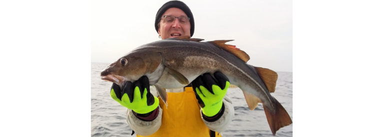 Cod Is Down For The Count - Marine Fish Conservation Network