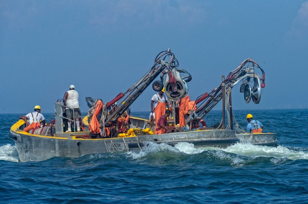 Trouble Comes To Town - Marine Fish Conservation Network