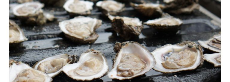 Slow Fish: Turning the Tide Toward Good, Clean, and Fair for All ...