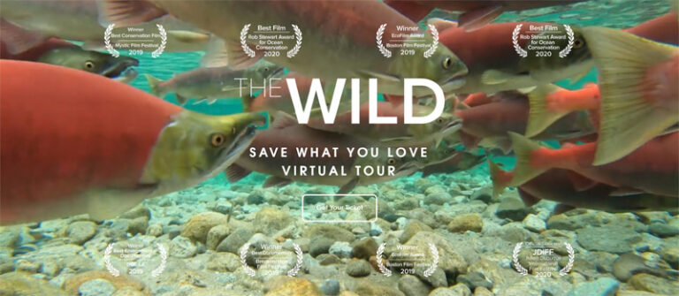 The Wild - Marine Fish Conservation Network